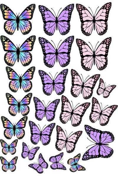 Adana Pasta Malzemeleri Kelebek 1 Resimli Yenilebilir Pasta Kurabiye Üstü Kağıt Baskı