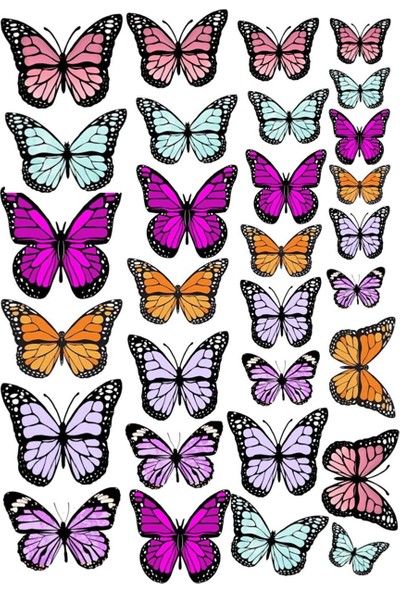 Adana Pasta Malzemeleri Kelebek 2 Resimli Yenilebilir Pasta Kurabiye Üstü Kağıt Baskı