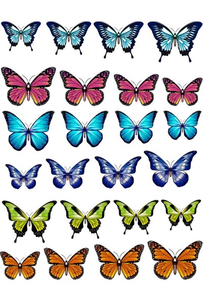 Adana Pasta Malzemeleri Kelebek 5 Resimli Yenilebilir Pasta Kurabiye Üstü Kağıt Baskı