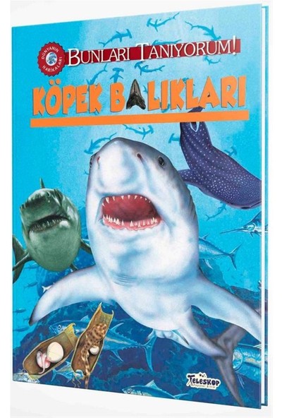 Köpek Balıkları - Bunları Tanıyorum! - Jane Walker