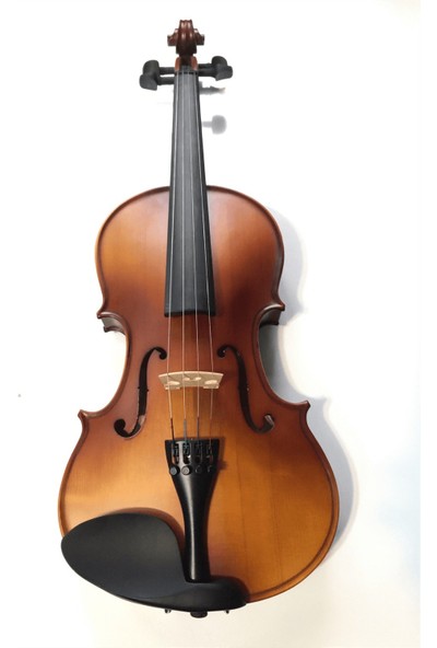 Presto VV100 3/4 Keman