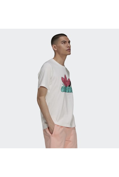 Adidas Dıno Tee Erkek t-shirt H13481