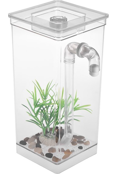 Top Pet Küçük Balık Akvaryumu (Yurt Dışından) Top Pet Küçük Balık Akvaryumu (Yurt Dışından)