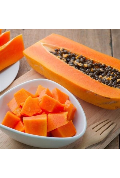 Yavuz Fidancılık Papaya (Ağaç Kavunu) Fidanı Yavuz Fidancılık Papaya (Ağaç Kavunu) Fidanı