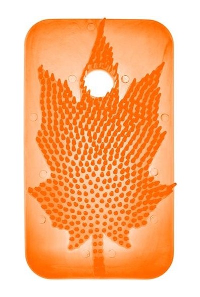 Rulopak Sihirli Koku Yaprağı Mango