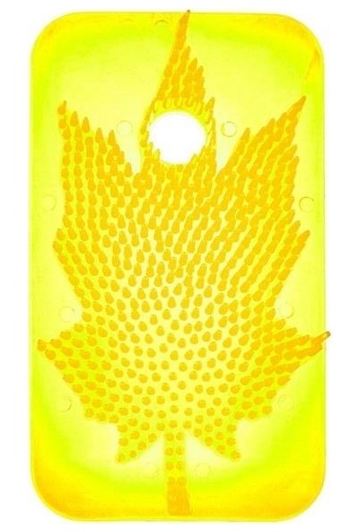 Rulopak Sihirli Koku Yaprağı Limon