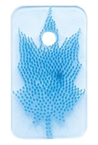 Rulopak Sihirli Koku Yaprağı