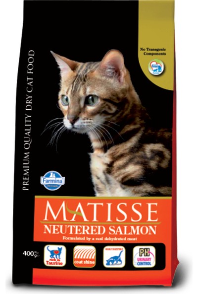 Trendline Matisse Kısırlaştırılmış Somonlu Yetişkin Kedi Maması 10 kg