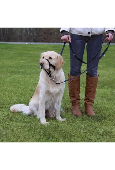 Trixie Uzman Köpek Eğitim Tasması M 27cm Trixie Uzman Köpek Eğitim Tasması M 27cm
