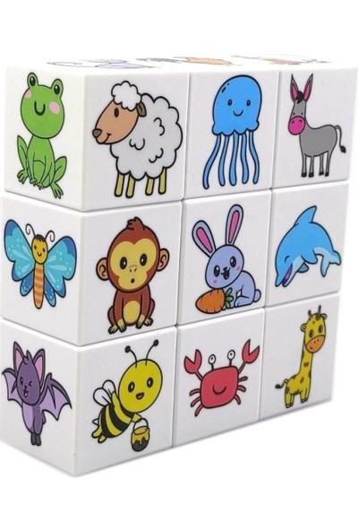 Küpss Ece'nin Hayvanat Bahçesi 9 Manyetik Küp