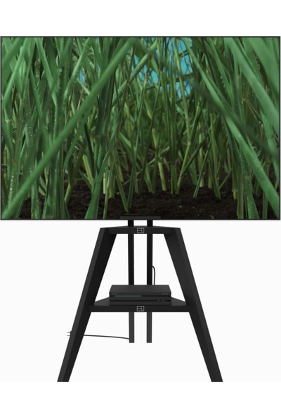 B1 Design B1-TV1C Televizyon Standı - Siyah