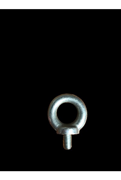 Doğanlar Kaldırma Halkası M8