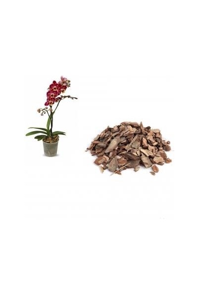 Green Garden Orkide Toprağı 3 Litre