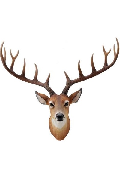 Veronese Design Za Askılık Y. Tekne 20X2.5X29