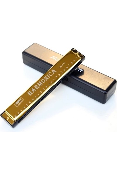 Dake Culture Çocuklar Için 24 Delikli Armonika Müzik Aleti (Yurt Dışından)