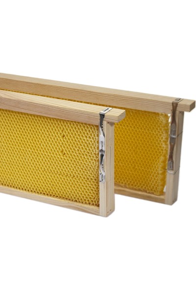 Avrasya Arıcılık Çerçeveye Takılı Kabarmış Bal Peteği (10 Adet)