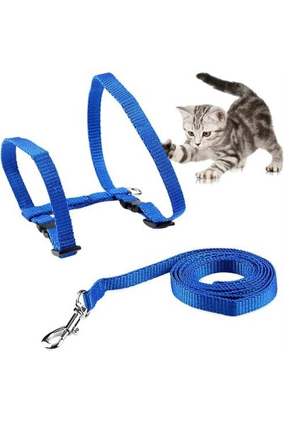 Bernam Quinn Laci̇vert Renk Kedi Tasması 715537