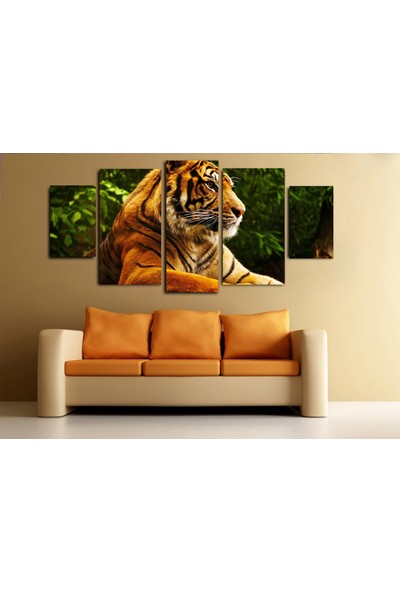 Denizli Uv Baskı Kaplan Vadi Modern Dekoratif 5'li Tablo (165 x 90 Cm) Denizli Uv Baskı Kaplan Vadi Modern Dekoratif 5'li Tablo (165 x 90 Cm)