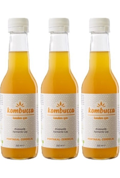 Kombuçça Kombucha Probiyotikli Soğuk Çay Yeşil Çay 3 x 250 ml Kombuçça Kombucha Probiyotikli Soğuk Çay Yeşil Çay 3 x 250 ml
