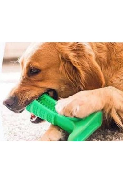 Arizzonna Köpek Diş Fırçası Isırma Aparatı Küçük Boy