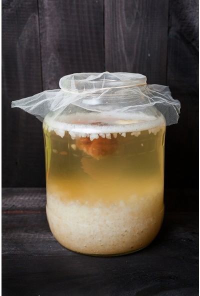 İpek Gurme Çoğalabilir Ev Yapımı Kefir Mayası 40 gr İpek Gurme Çoğalabilir Ev Yapımı Kefir Mayası 40 gr