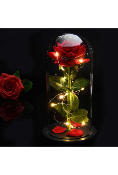 Nettenevime Sevgililer Günü Özel Hediye Faunus Içerisinde Yapay Çiçek Kırmızı Gül ve 3 Fonksiyonlu Periled