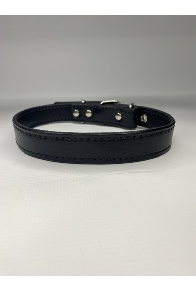Patical Pet Deri Boyun Tasması Siyah 18 - 36 Kg L Patical Pet Deri Boyun Tasması Siyah 18 - 36 Kg L