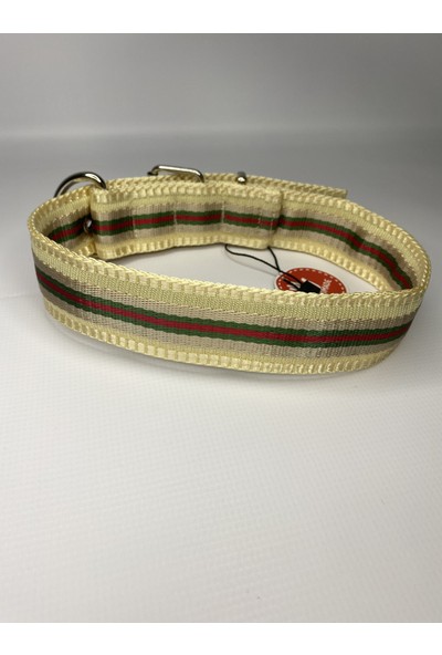 Patical Pet Köpek Boyun Tasması Sarı 18-36 Kg L Patical Pet Köpek Boyun Tasması Sarı 18-36 Kg L