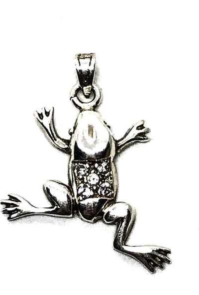 Nisa 925 Ayar Gümüş Zirkon Taşlı Kurbağa Kolye Ucu