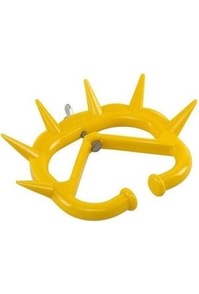 Fvt Littlebee Burunsallık Büyük - 5 Adet