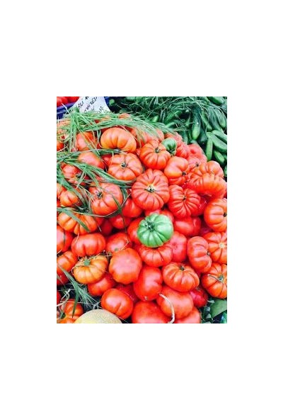 100 Adet Çanakkale Kokulu Domates Tohumu 100 Adet Çanakkale Kokulu Domates Tohumu