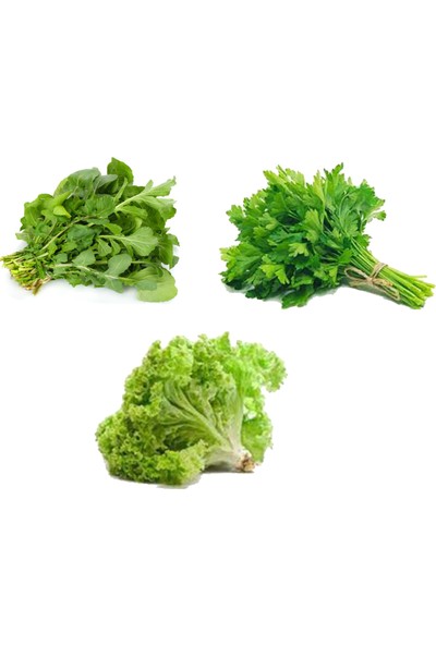 Gardenya Tohumculuk 3'lü Yeşillik Set (Maydanoz-Roka-Kıvırcık) - Besin Bitki Hediye Gardenya Tohumculuk 3'lü Yeşillik Set (Maydanoz-Roka-Kıvırcık) - Besin Bitki Hediye
