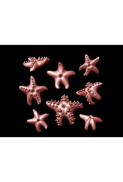 Aldım Geldi Starfish Plastik Aparat