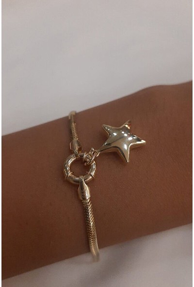 Fiyonk Kuyumculuk 14 Ayar Altın Yıldız Detaylı Italyan Balıksırtı Bileklik