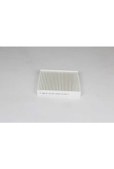 BSG Fiat 500/PANDA Polen Filtresi 2009 Oem Kodu 51854923