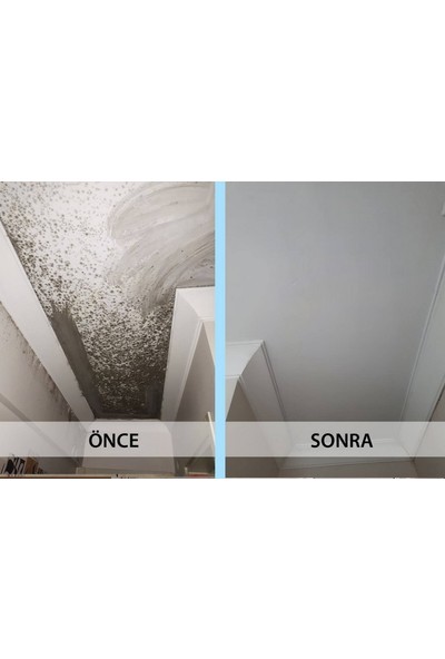 İsonem Ms 82 Nem ve Rutubet Boyası 1 kg İsonem Ms 82 Nem ve Rutubet Boyası 1 kg