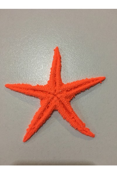 Alc Shop Jumbo Boy Deniz Yıldızı Duvar Bahçe Ev Süsü 7-9 cm Teraryum