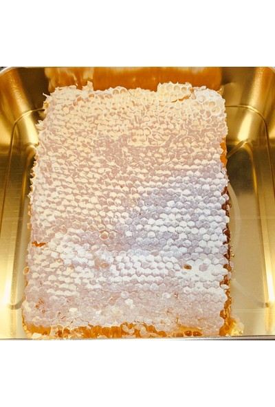 Toros Dağı Bal Petek Bal 1 kg