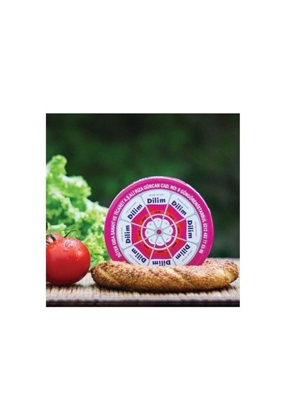 Süter Dilim Üçgen Peynir (4 Lü Kutu)