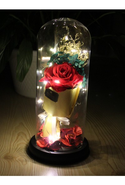 Winter House Büyük Boy Cam Fanus Içerisinde Dekoratif LED Işıklı Solmayan Gül Winter House Büyük Boy Cam Fanus Içerisinde Dekoratif LED Işıklı Solmayan Gül