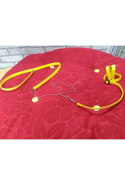 ANS Sultan Papağanı ve Muhabbet Kuşu Tasması