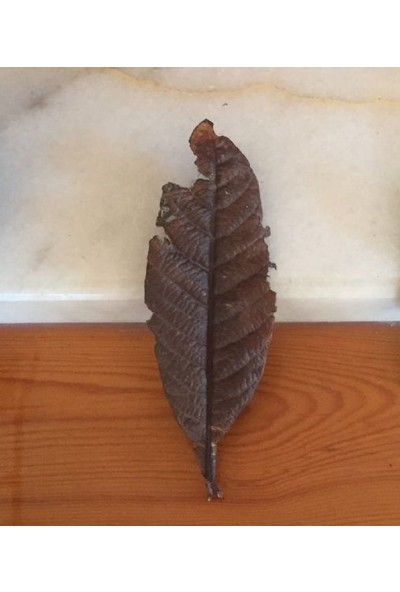 Canlipetshop Malta Yaprağı 100 Adet 10X10 cm **su Düzenleyici ve Karides Yemi Canlipetshop Malta Yaprağı 100 Adet 10X10 cm **su Düzenleyici ve Karides Yemi