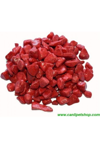 Canlipetshop Akvaryum – Fanus – Teraryum Renkli Dekor Taşları (Kırmızı Renk) 8-10 mm 1 kg Canlipetshop Akvaryum – Fanus – Teraryum Renkli Dekor Taşları (Kırmızı Renk) 8-10 mm 1 kg