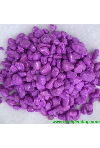 Canlipetshop Akvaryum – Fanus – Teraryum Renkli Dekor Taşları (Mor) 1 kg Canlipetshop Akvaryum – Fanus – Teraryum Renkli Dekor Taşları (Mor) 1 kg