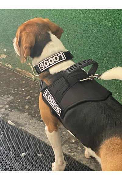 MgTasma K9 Göğüs ve Boyun Tasma Seti Küçük ve Orta Irk MgTasma K9 Göğüs ve Boyun Tasma Seti Küçük ve Orta Irk