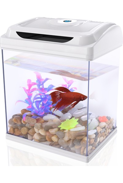 Dadypet LED Işıklı Bitki ve Çakıl Taşlı Akvaryum (Yurt Dışından)