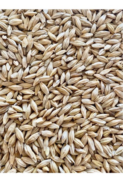 Erkan Tarım Organik Doğal Yemlik Arpa Tavuk - Büyükbaş - Kuş Yemi 25 Kg