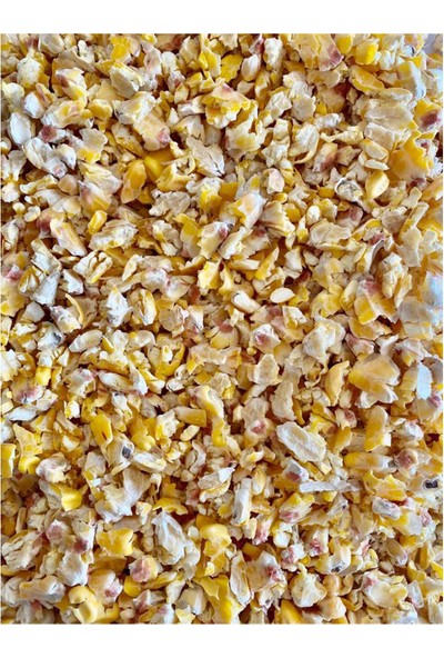 Erkan Tarım Mısır Kırması Iri Tane Kuş Güvercin Tavuk Yem 10 Kg Erkan Tarım Mısır Kırması Iri Tane Kuş Güvercin Tavuk Yem 10 Kg