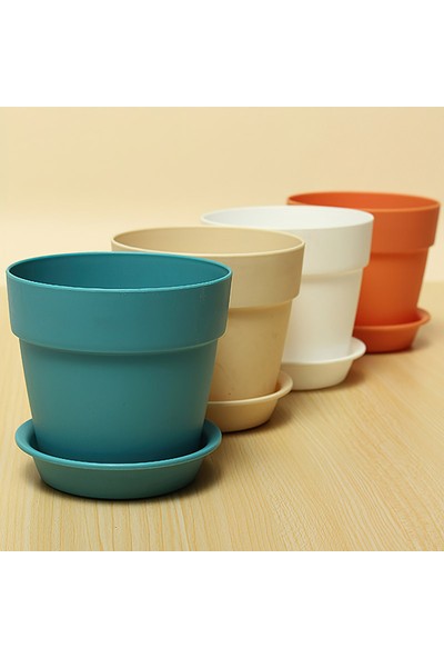 Lilyum Saksı Mini Kaktüs Saksısı Tera 3 Adet