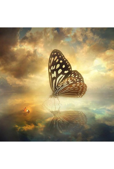 Shuai yan Tam 5d Elmas Boyama Nakış Çapraz El Sanatları Dikiş Kiti Ev Dekorasyonu Diy Style9 (Yurt Dışından)